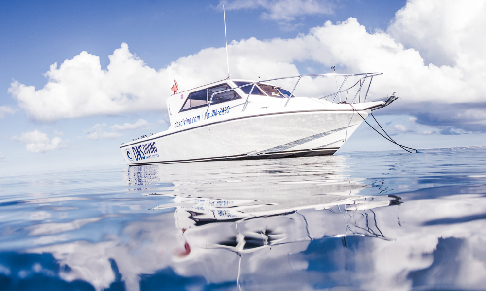 Grand Cayman Dive Boats | DNS Diving - Explore in ComfortDiving Cayman ...